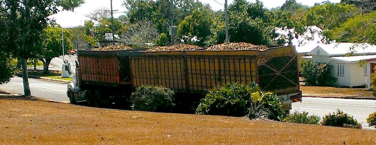 Cane Truck Info-Hub – JAMARR