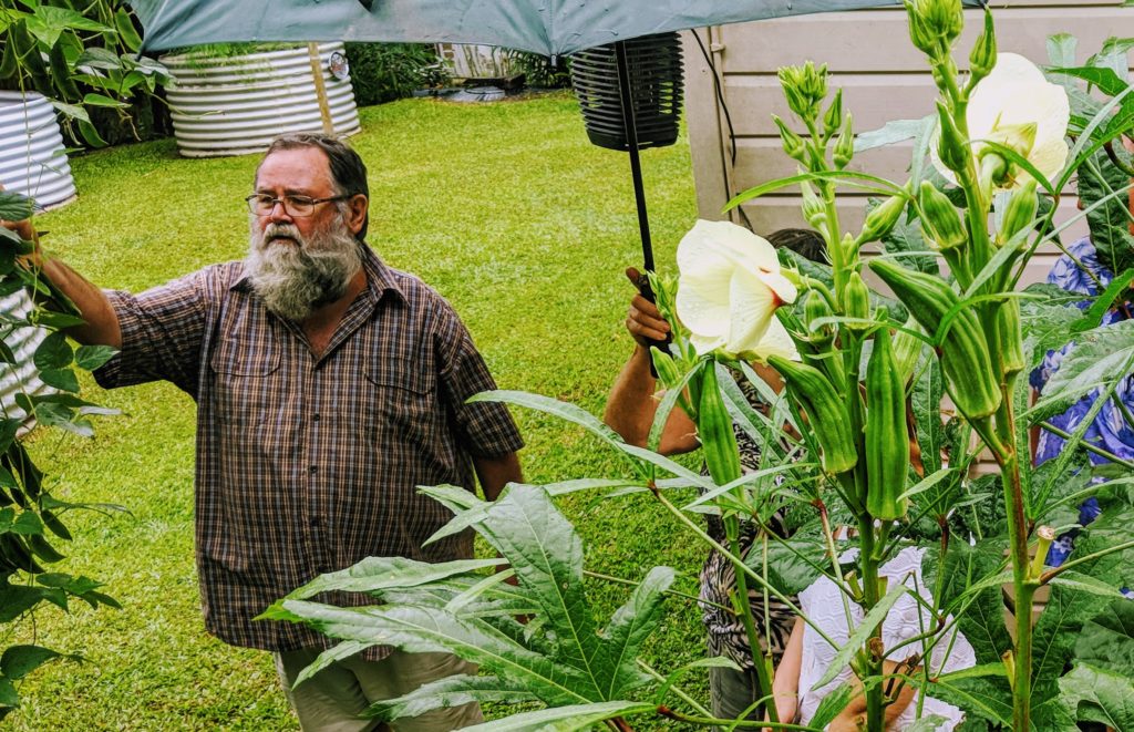 Garlic, microgreens, and a vision of raised beds – JAMARR