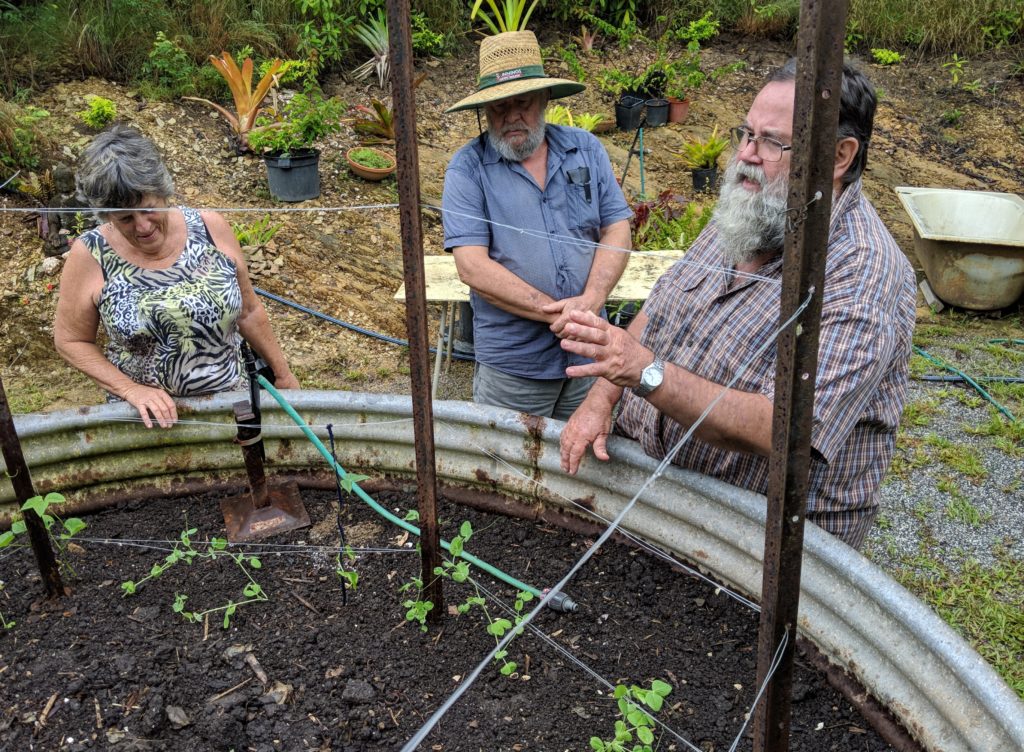 Garlic, microgreens, and a vision of raised beds – JAMARR